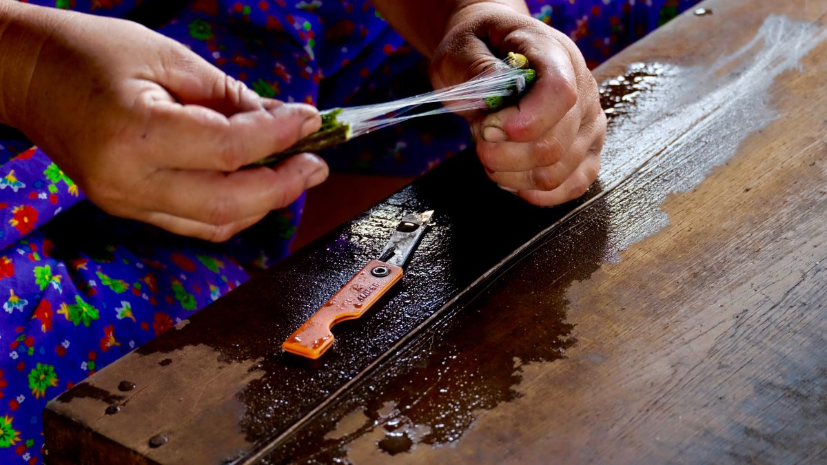 Lotus Fiber Production - Cashmere & Pearls